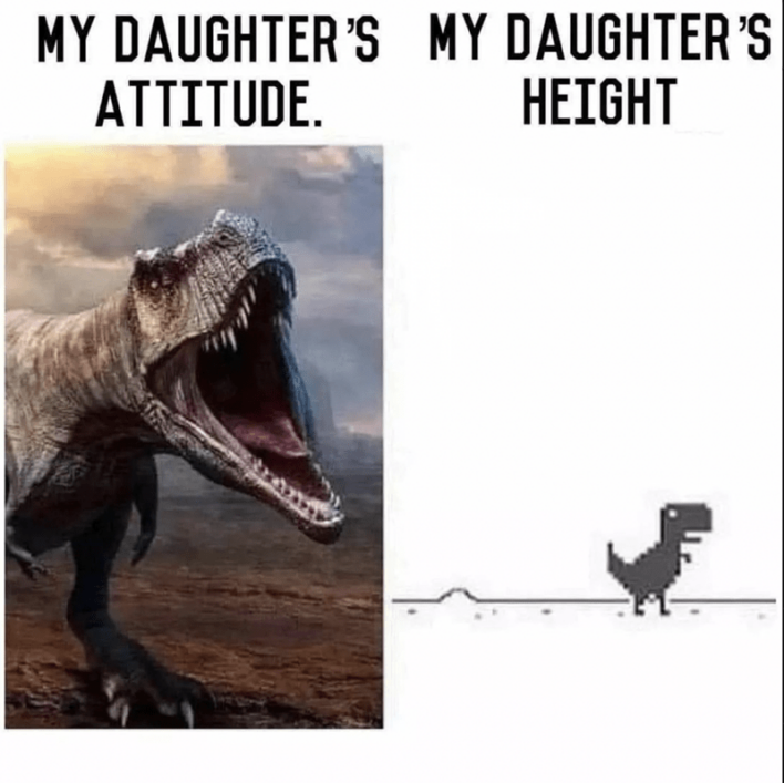 From Sass to Sweetness — 40+ Funny Daughter Memes That Sum Up Life For ...