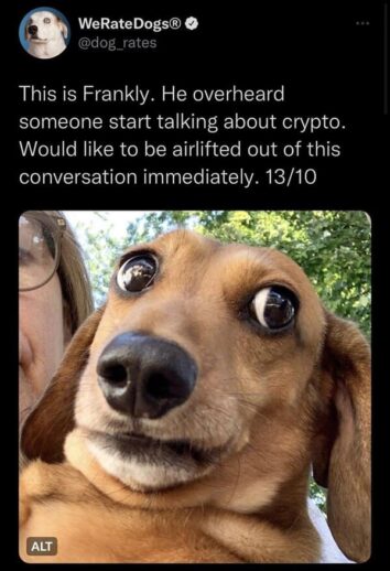 40 Funny Doggo Memes For Devoted Dog Owners And Animal Comedy ...