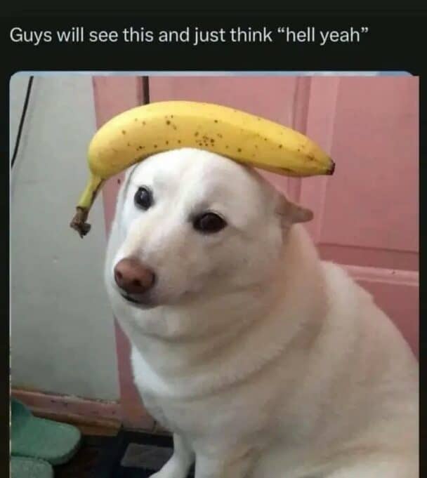 40 Incredibly Dumb Pictures That Still Made Me Laugh Out Loud This Week