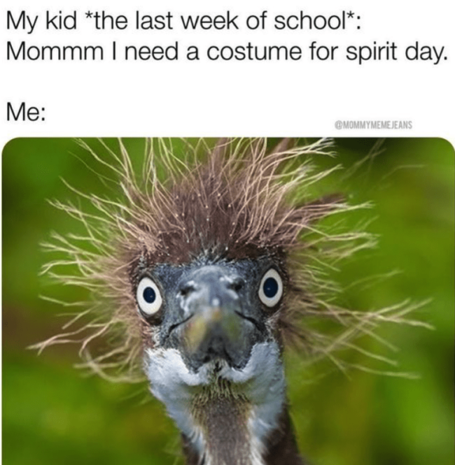 30+ Funniest Family Memes From This Week To Prepare You For The ...