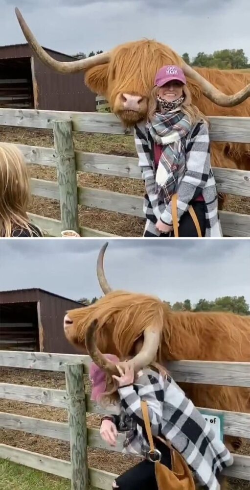 40 Hilarious And Questionable Times Influencers Tried To Get The ...