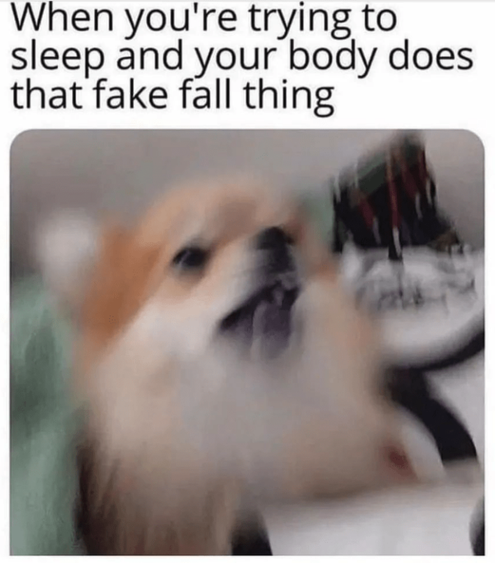 40 Funny Insomniac Memes For Exhausted Folks Jealous Of Your Sleep ...