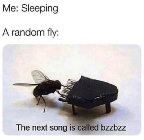 40 Funny Insomniac Memes For Exhausted Folks Jealous Of Your Sleep ...