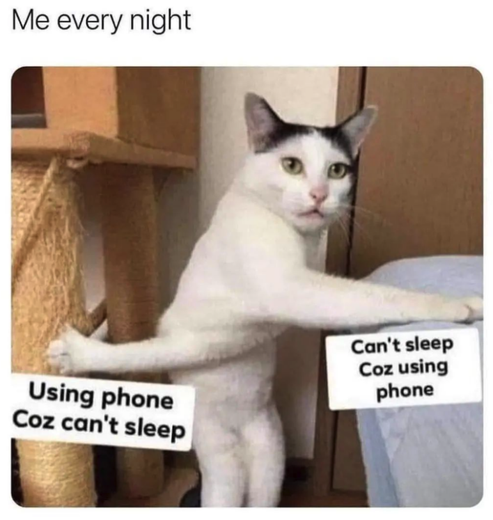 40 Funny Insomniac Memes For Exhausted Folks Jealous Of Your Sleep ...