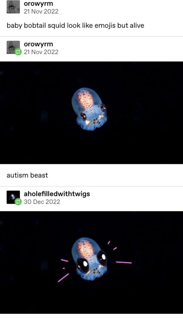 A Rapid Fire Of 40 Funny Memes And Pictures That Are Mostly Tumblr Posts