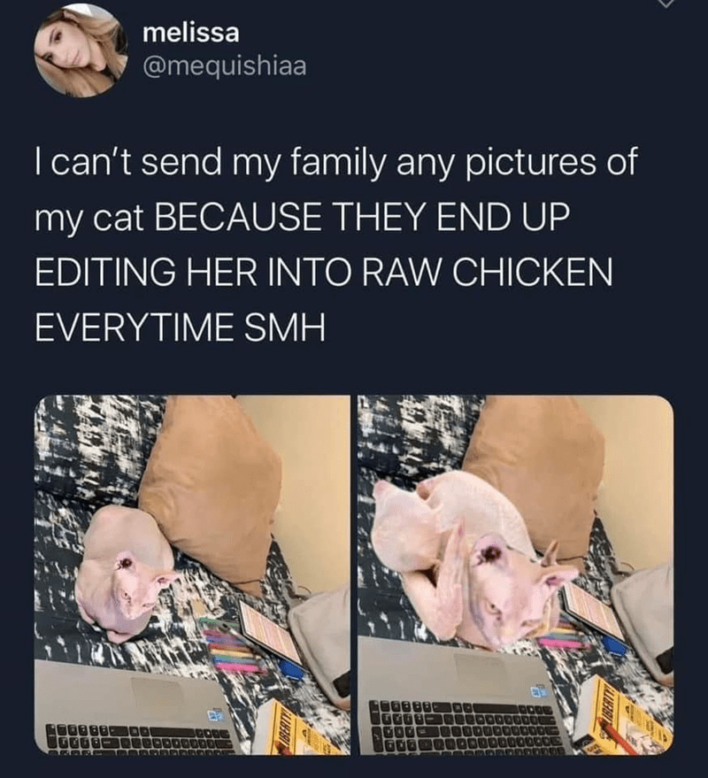 A Rapid Fire Of 40 Funny Memes And Pictures That Are Mostly Tumblr Posts