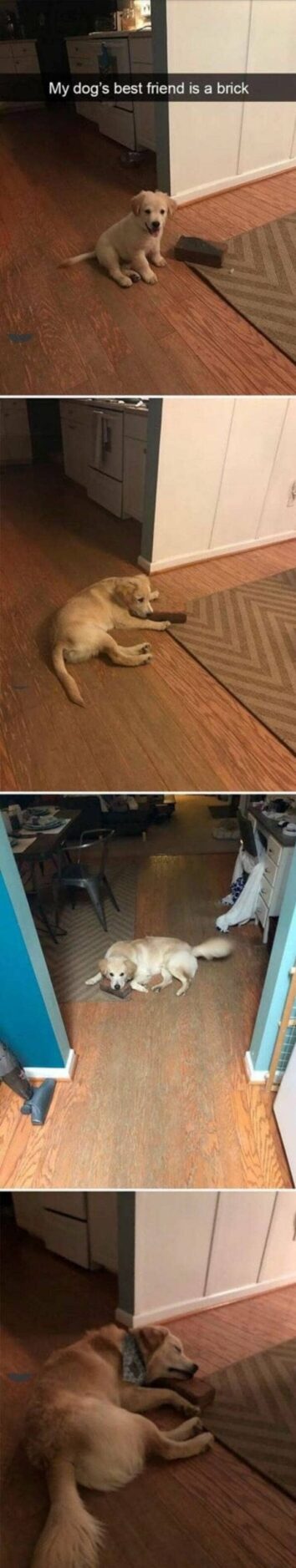 30 Funny Pictures To Kickstart Your Morning With Laughter