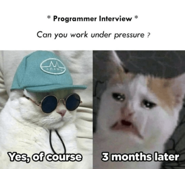40 Programming Memes That'll Have Coders LOLing Instead Of Debugging ...