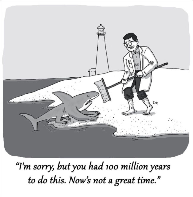 30 Hilarious Single-Panel Comics By Artist Daniel Kanhai