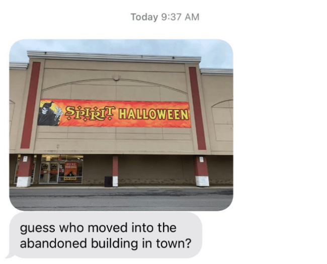 20+ Funny Spirit Halloween Memes That'll Open A Store In Your Car If ...