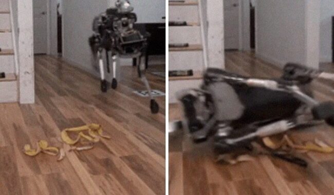 40 Useless Robots That Show Exactly Why They Aren't Going To Take Over One Day
