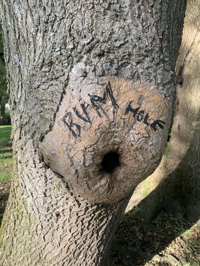 It Can Just Be Silly, Weird Graffiti...It Doesn't Need To Have A Point ...