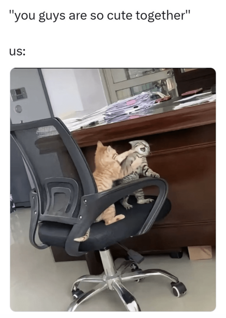 40 Healthy Relationship Memes For Couples As Wholesome As They Are Kinky