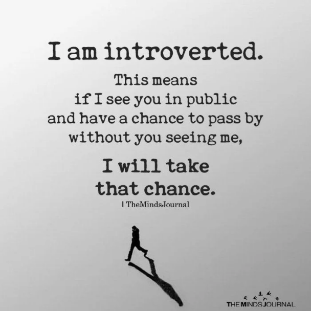 30+ Introvert Dating Memes For People Who Hope To Find Their Soulmate ...