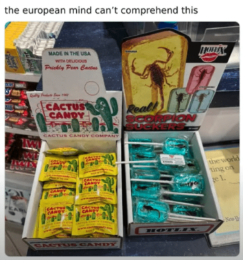 40 Memes The European Mind Simply Cannot Comprehend