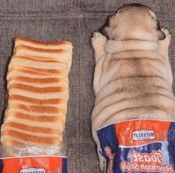 40 Hilariously Messed Up Food Pictures Someone Should Probably Report ...