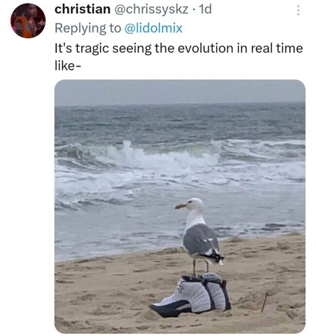 Hilarious Thread Has Millennials Roasting A Gen Z Nostalgia Video And ...