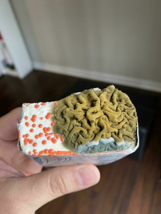 35 People Share Wild Pictures Of Mold Growth That Are "Moldly Interesting"