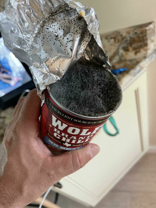 35 People Share Wild Pictures Of Mold Growth That Are "Moldly Interesting"