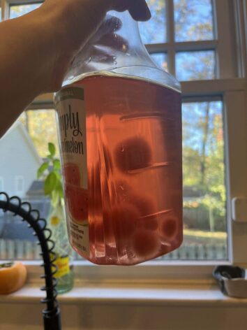 35 People Share Wild Pictures Of Mold Growth That Are "Moldly Interesting"