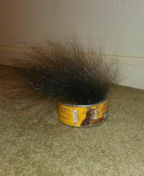 35 People Share Wild Pictures Of Mold Growth That Are "Moldly Interesting"