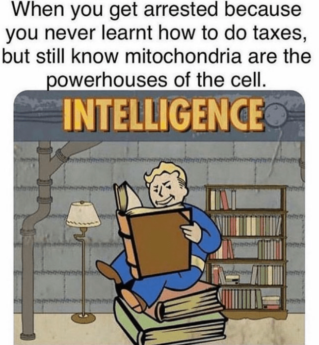 Nostalgic High School Memes That'll Transport You Right Back To Those ...