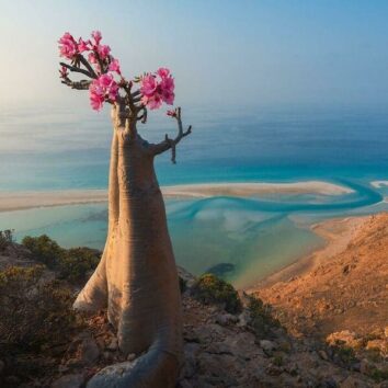 40 Weird Objects And Cool Things Explorers Found In Deserts