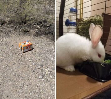 40 Weird Objects And Cool Things Explorers Found In Deserts
