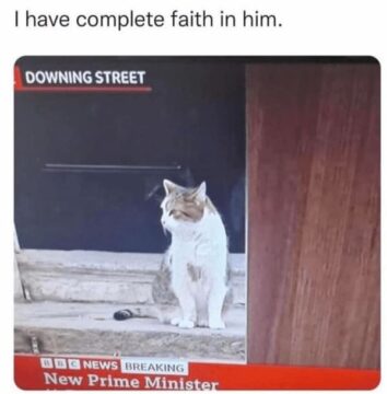45 Purrfectly Relatable Cat Memes To Wrap Up Your Week With Laughter ...