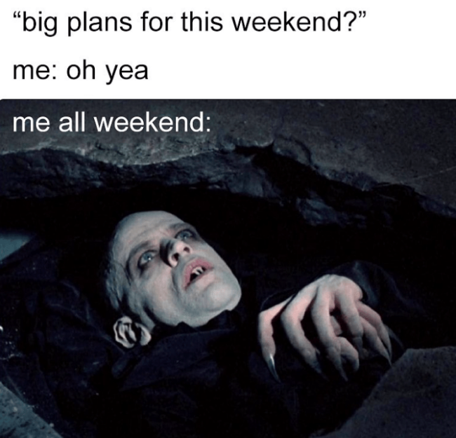 30 Spooky Introvert Memes Almost As Scary As Being Invited To A ...