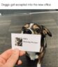 45 Funny Animal Memes To Brighten Up Your Workweek (October 2, 2023)