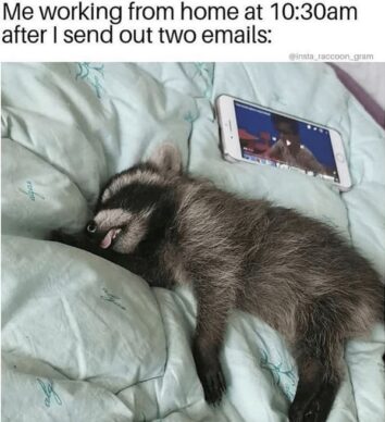 45 Funny Animal Memes To Brighten Up Your Workweek (October 2, 2023)