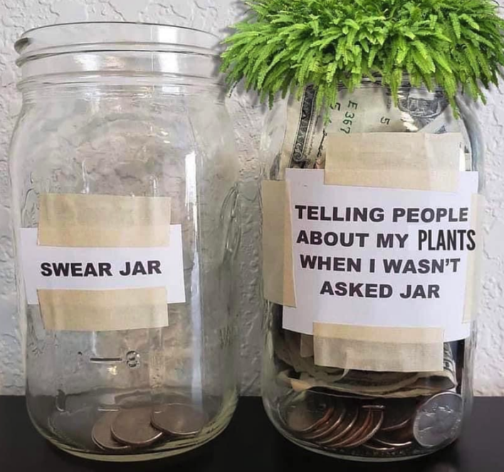 40 Funny Plant Memes For Our Green Thumb Friends Who Won't Shut Up ...