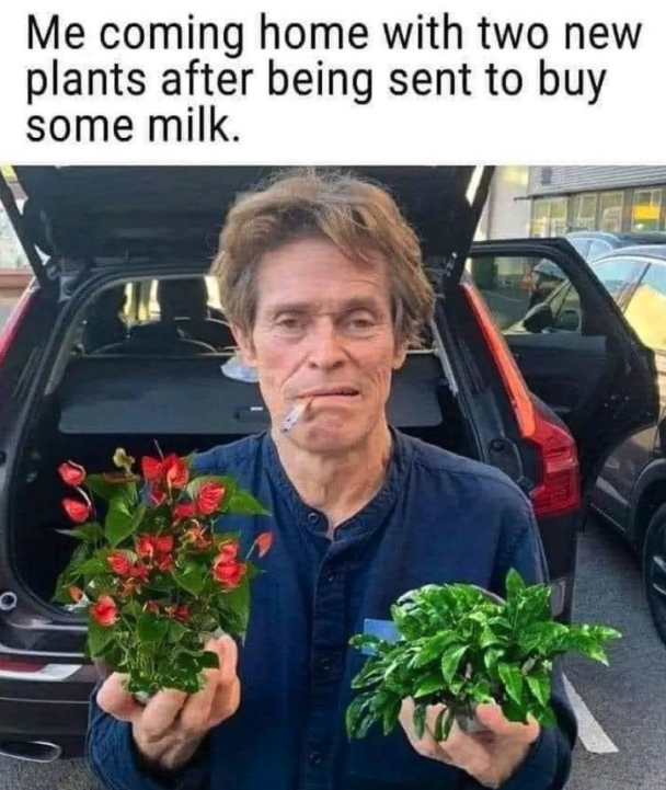 40 Funny Plant Memes For Our Green Thumb Friends Who Won't Shut Up ...
