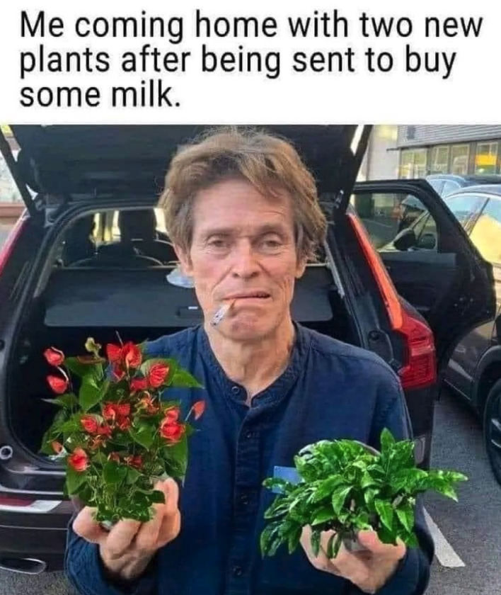 40 Funny Plant Memes For Our Green Thumb Friends Who Won't Shut Up ...