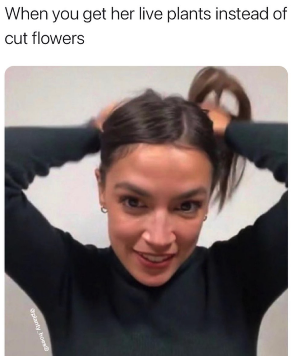 40 Funny Plant Memes For Our Green Thumb Friends Who Won't Shut Up ...