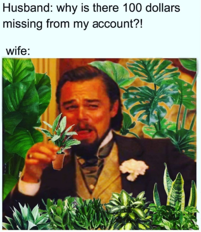 40 Funny Plant Memes For Our Green Thumb Friends Who Won't Shut Up ...