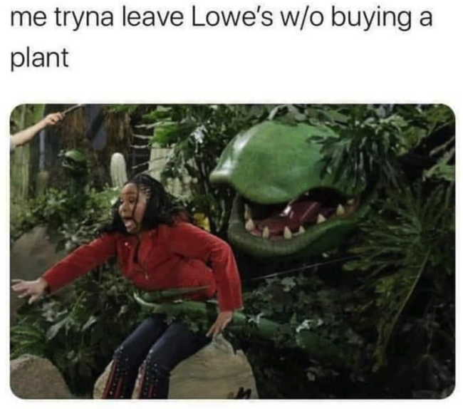 40 Funny Plant Memes For Our Green Thumb Friends Who Won't Shut Up ...