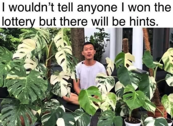 40 Funny Plant Memes For Our Green Thumb Friends Who Won't Shut Up ...
