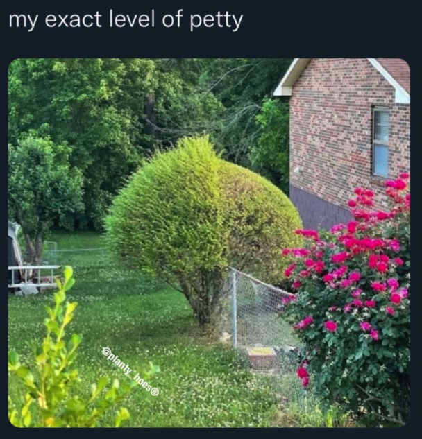 40 Funny Plant Memes For Our Green Thumb Friends Who Won't Shut Up ...