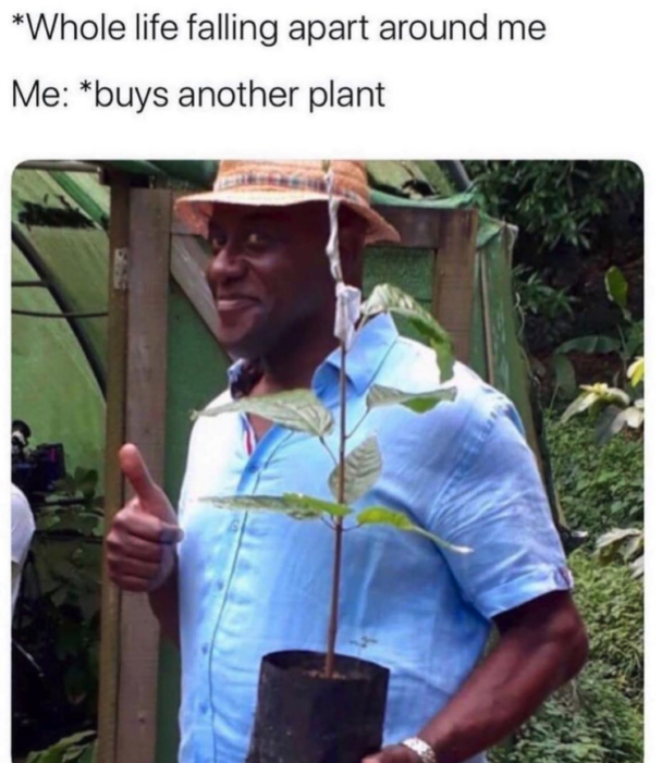 40 Funny Plant Memes For Our Green Thumb Friends Who Won't Shut Up ...