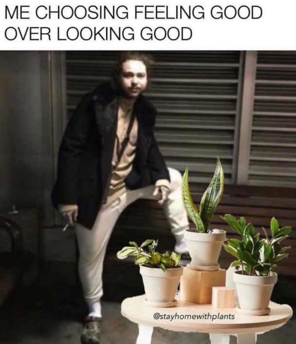 40 Funny Plant Memes For Our Green Thumb Friends Who Won't Shut Up ...