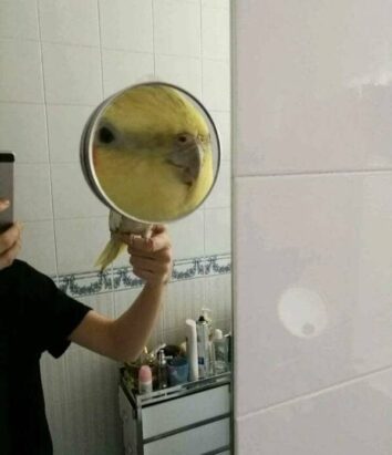 35+ Random And/Or Funny Pictures To Add A Chuckle To Your Afternoon