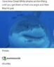 45 Funny Animal Memes To Brighten Up Your Workweek (October 2, 2023)