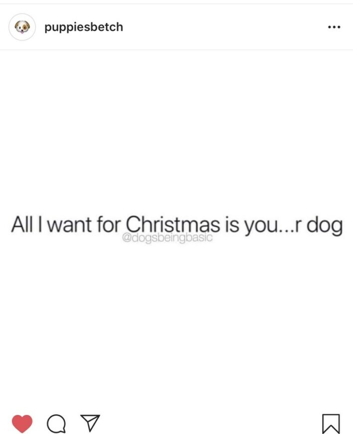 30+ Single Life Memes For Everyone With No Interest In Being Held Down