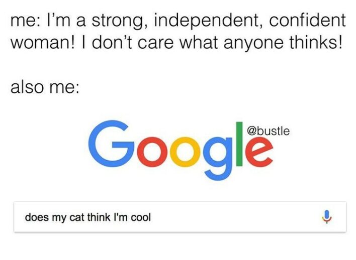 30+ Single Life Memes For Everyone With No Interest In Being Held Down