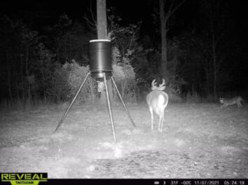 40 Crazy And Spooky Trail Cam Pictures We Were Never Meant To See
