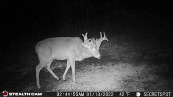 40 Crazy And Spooky Trail Cam Pictures We Were Never Meant To See
