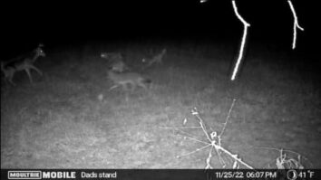40 Crazy And Spooky Trail Cam Pictures We Were Never Meant To See