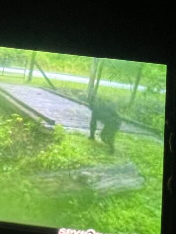 40 Crazy And Spooky Trail Cam Pictures We Were Never Meant To See